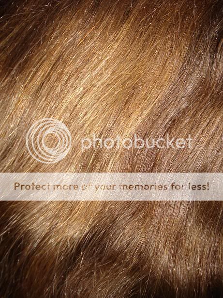 08-HairTexture01.jpg Photo by LittleBirdLongHair | Photobucket